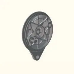 Brake Shoe Plates (brake Hub Plate) Panel Comp Rr Brk Passion X-pro ...
