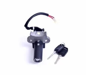 Ignition Switch 2 Pin Coupler For Hero Cd Delux | Spark Minda - Indian ...