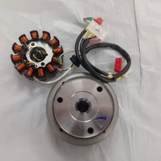 Magneto Assembly Es For Tvs Phoenix 125 - Indian Bikes Spares