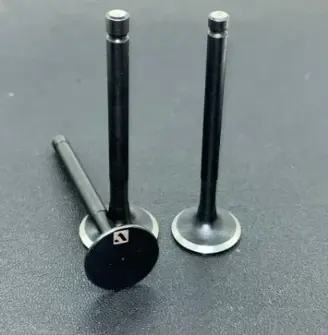 Kit Engine Valve N9325820 Tvs Apache Rtr 4v 160 (oem), - Buy Online at ...