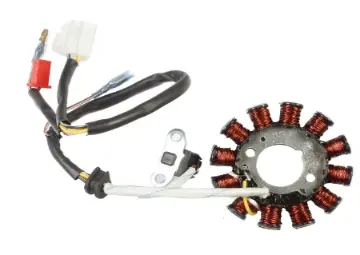 Stator Assembly Es Na320040 Tvs City + 110 (oem), - Buy Online at Best ...