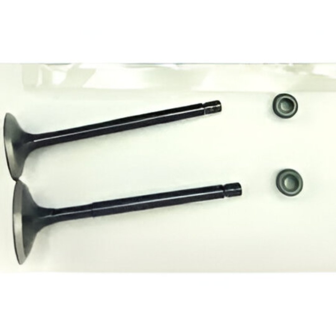 Engine Valve Kit For TVS Apache RTR 160 2V - Buy Online at Best Price ...