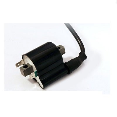 Power Coil for Hero Passion Pro- Buy Online at Best Price Indian Bikes ...