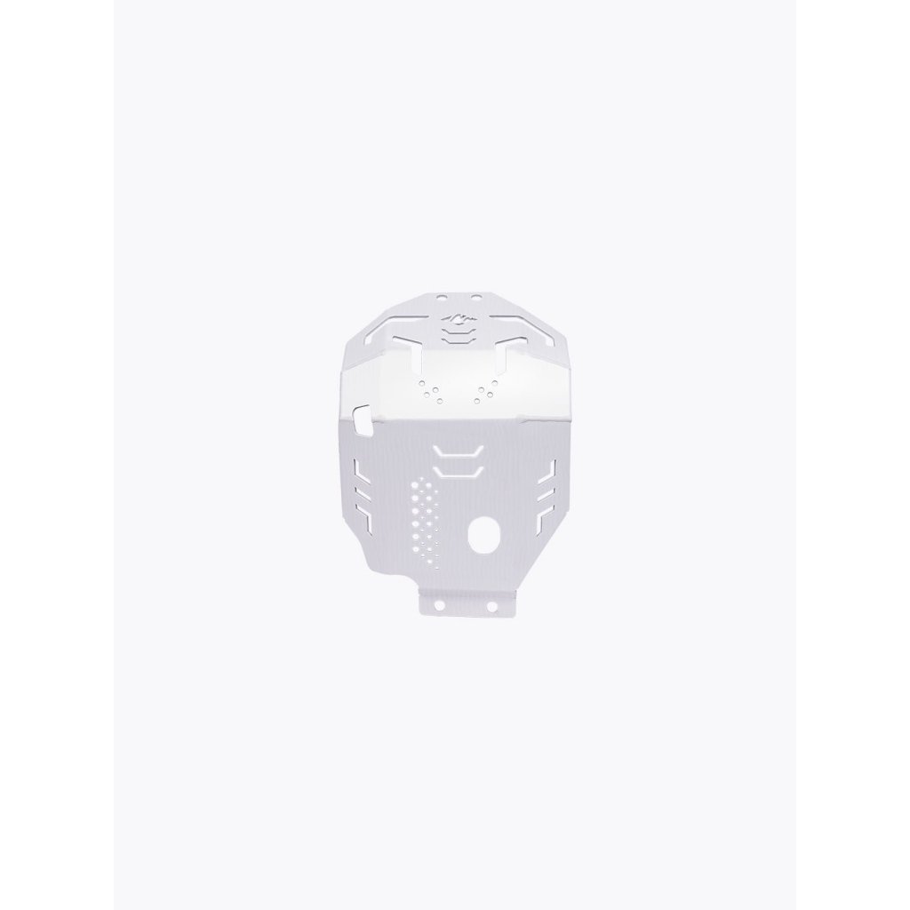 LCB Xpulse 200 4V Pro Vambrace Bash Plate - Buy Online at Best Price ...